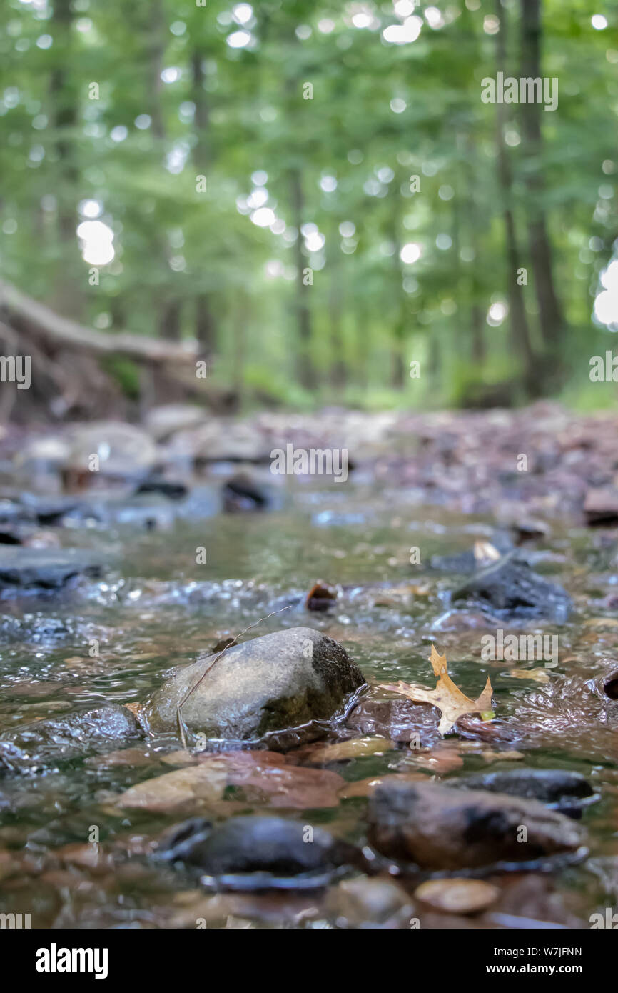 Peaceful stream water flow Stock Photo - Alamy