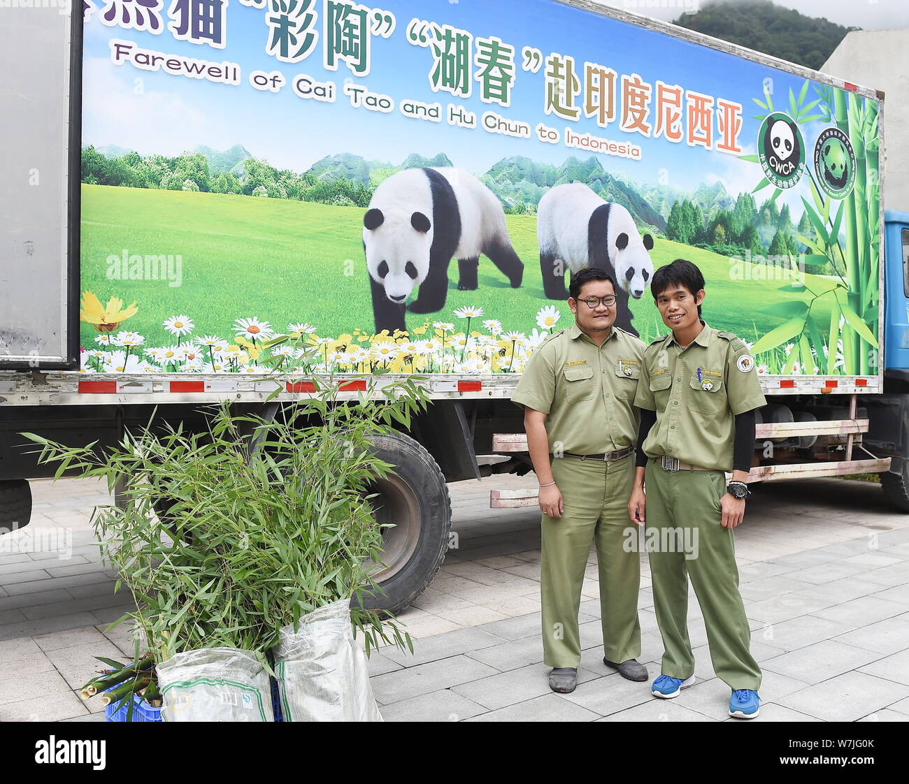 Indonesian workers pose with bamboo before the two giant pandas Cai Tao ...