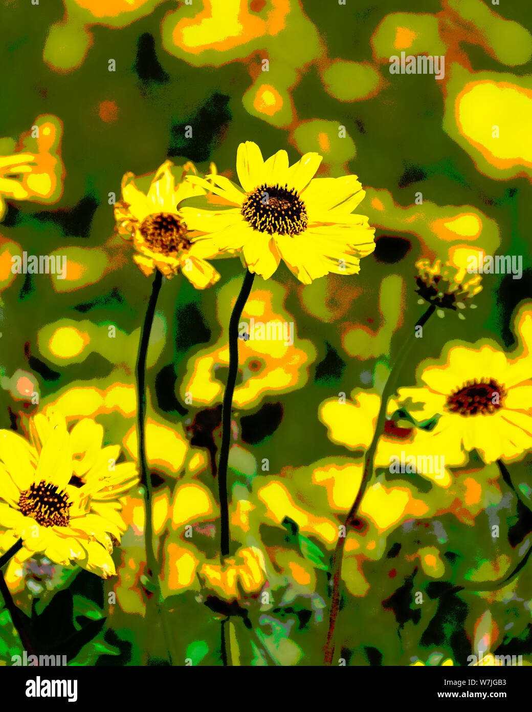 60s pop art hi-res stock photography and images - Alamy