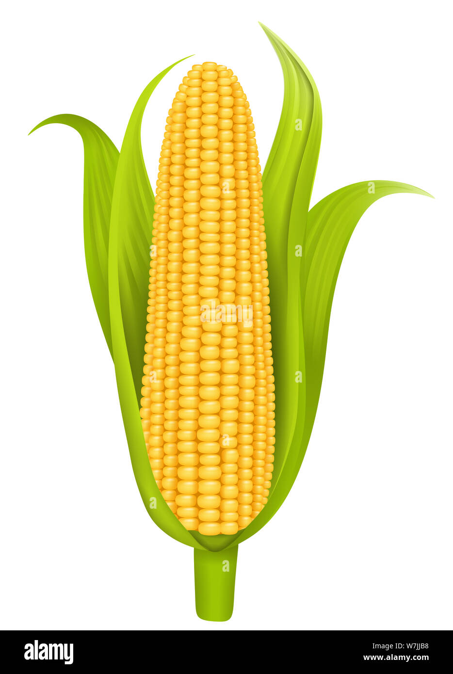 Fall Corn On The Cob Clip Art