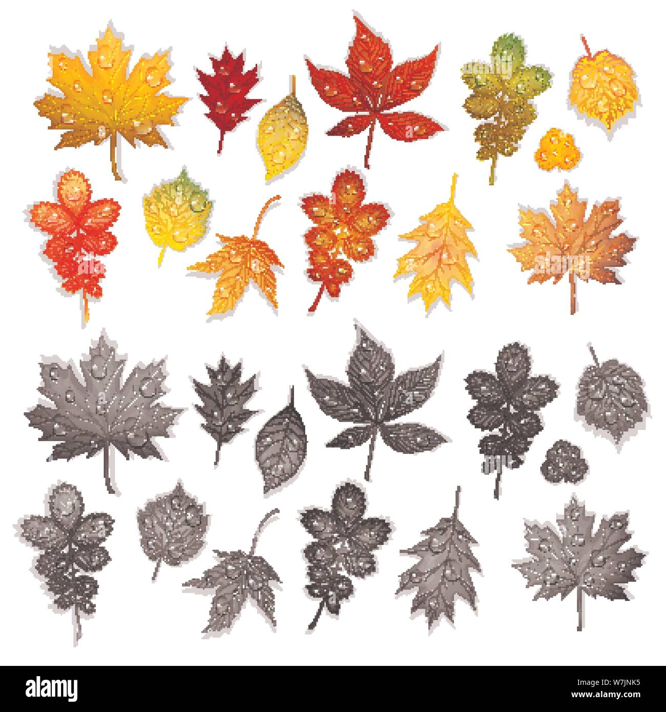 Set of colorful leaves vector Stock Vector Image & Art - Alamy