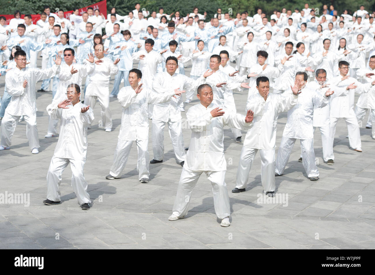 Enthusiasts practice Tai Chi at the Twin Pagodas Temple as a part of ...