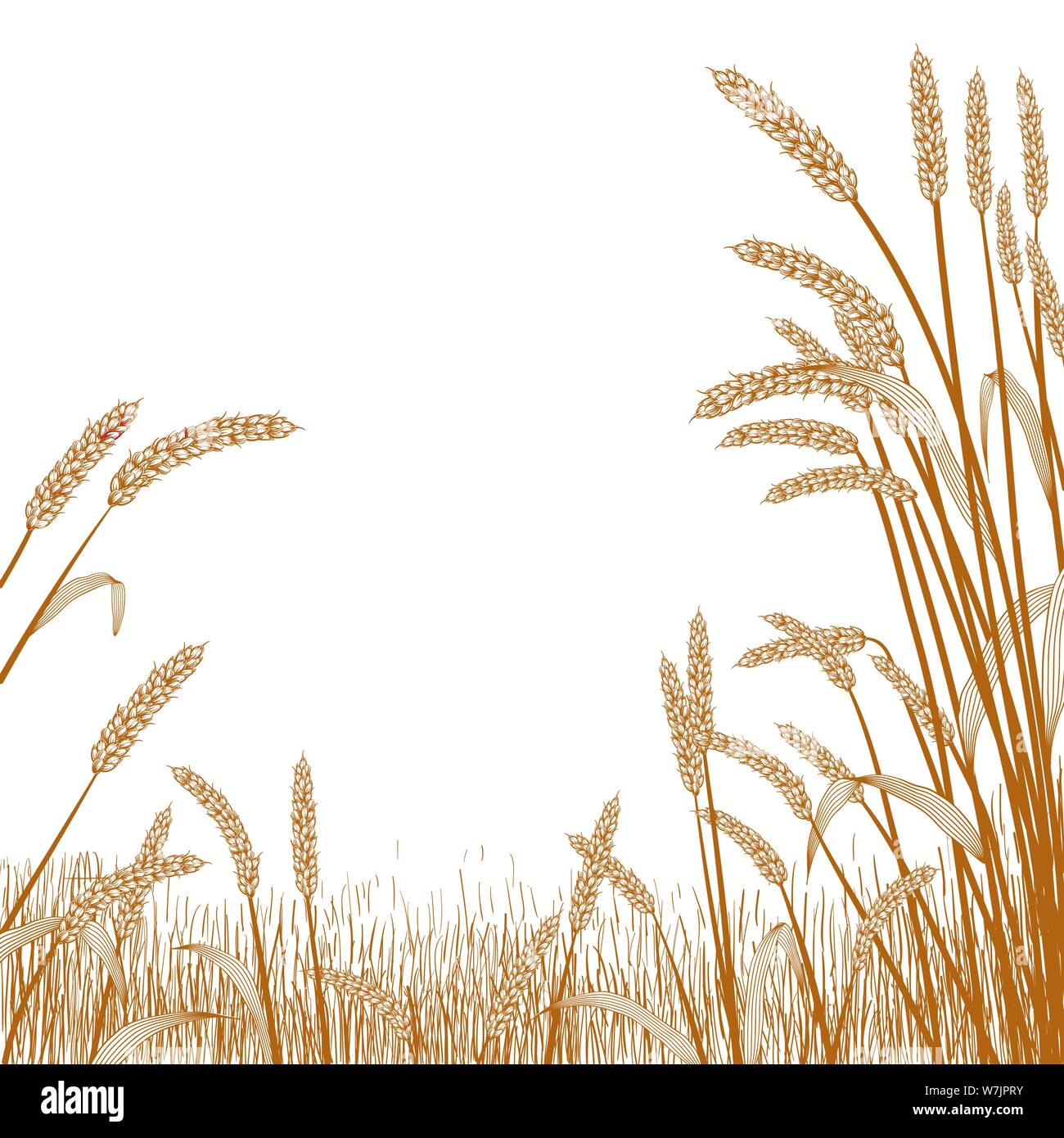 Across view Stock Vector Images - Alamy