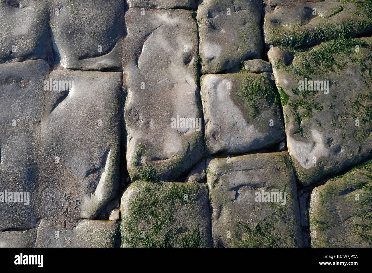 Limestone rock beach, Lavernock, Wales UK British coast coastline ...