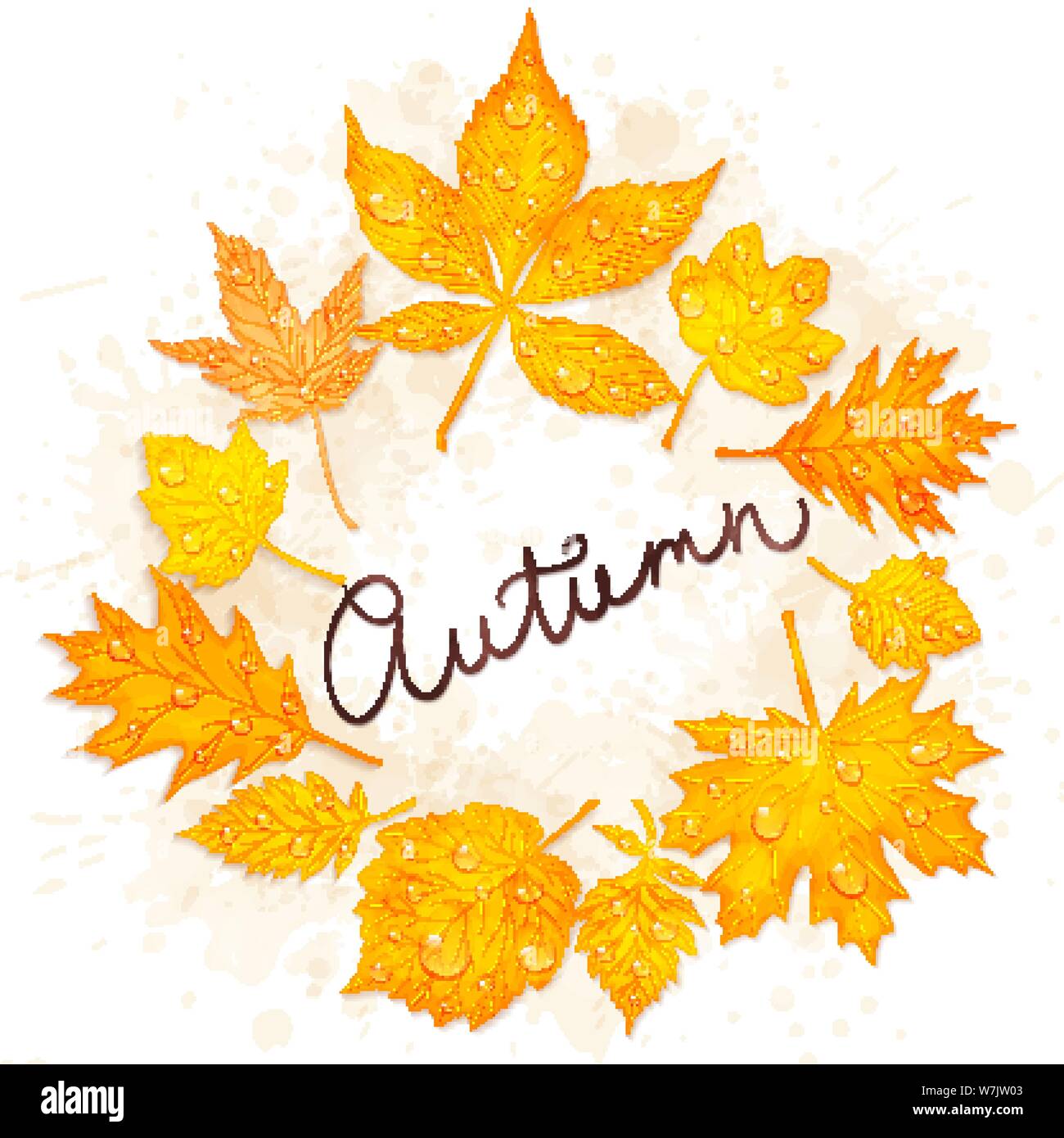 Autumn leaves vector background Stock Vector Image & Art - Alamy