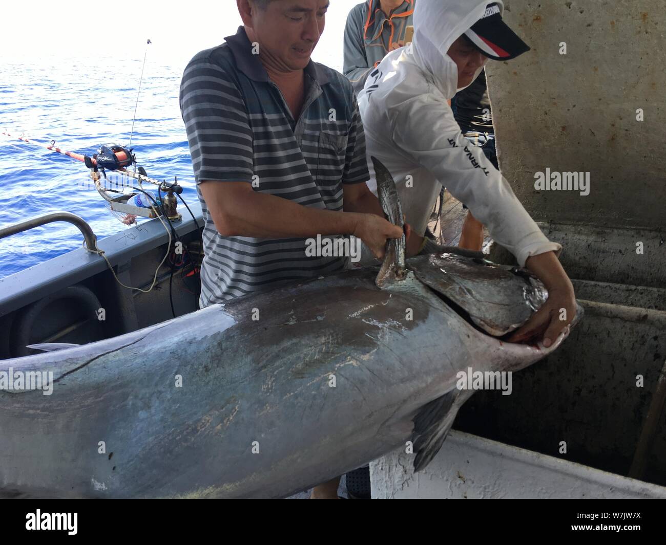 19 kilogram hi-res stock photography and images - Alamy