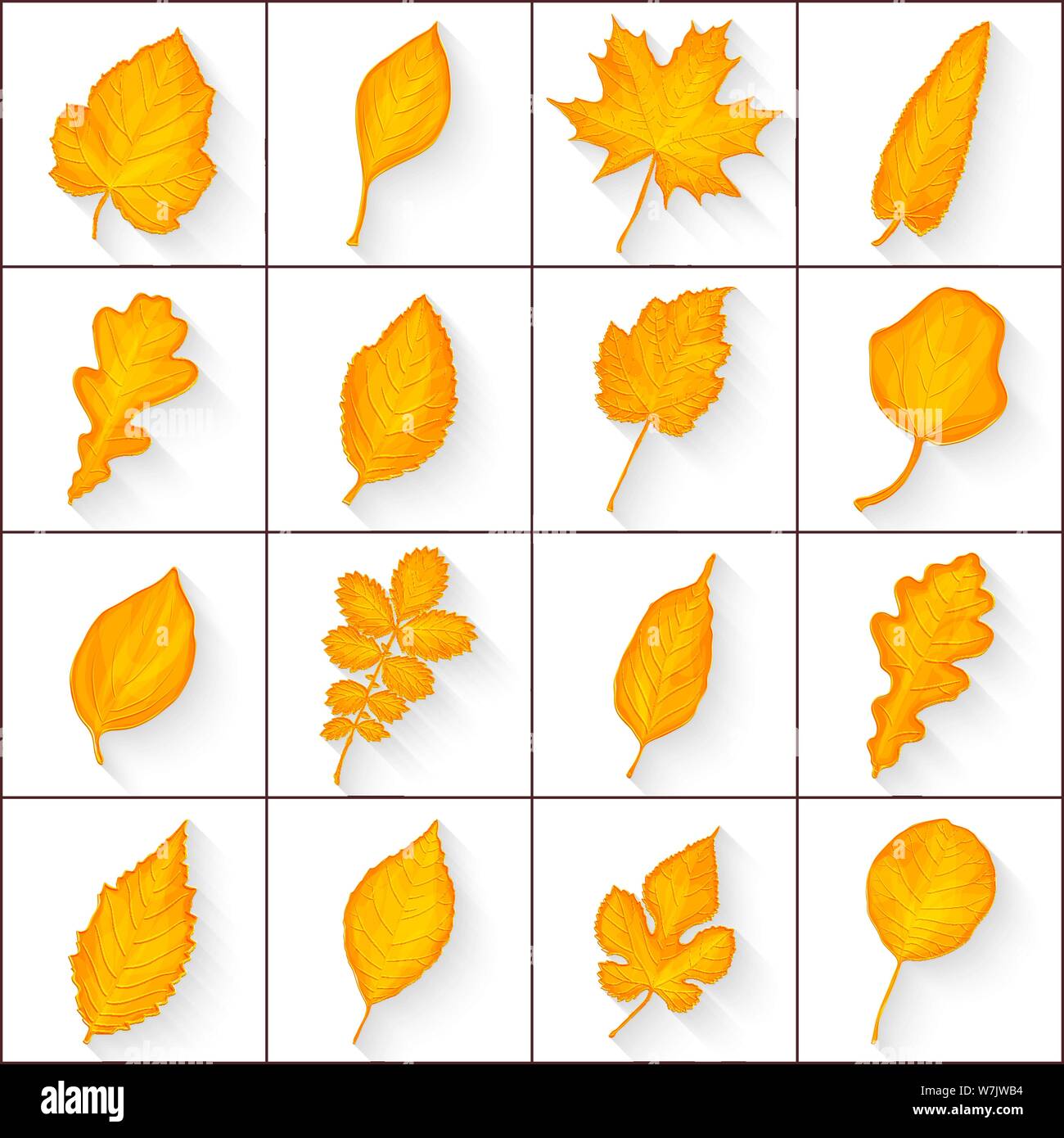 Autumn leaves set vector Stock Vector Image & Art - Alamy