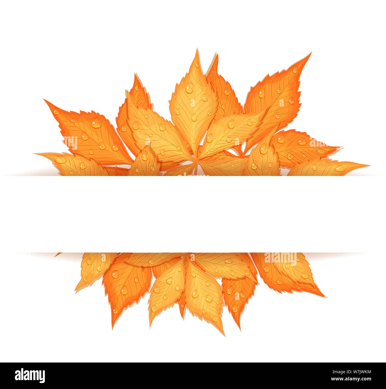 Autumn leaves background collection Stock Vector Images - Alamy
