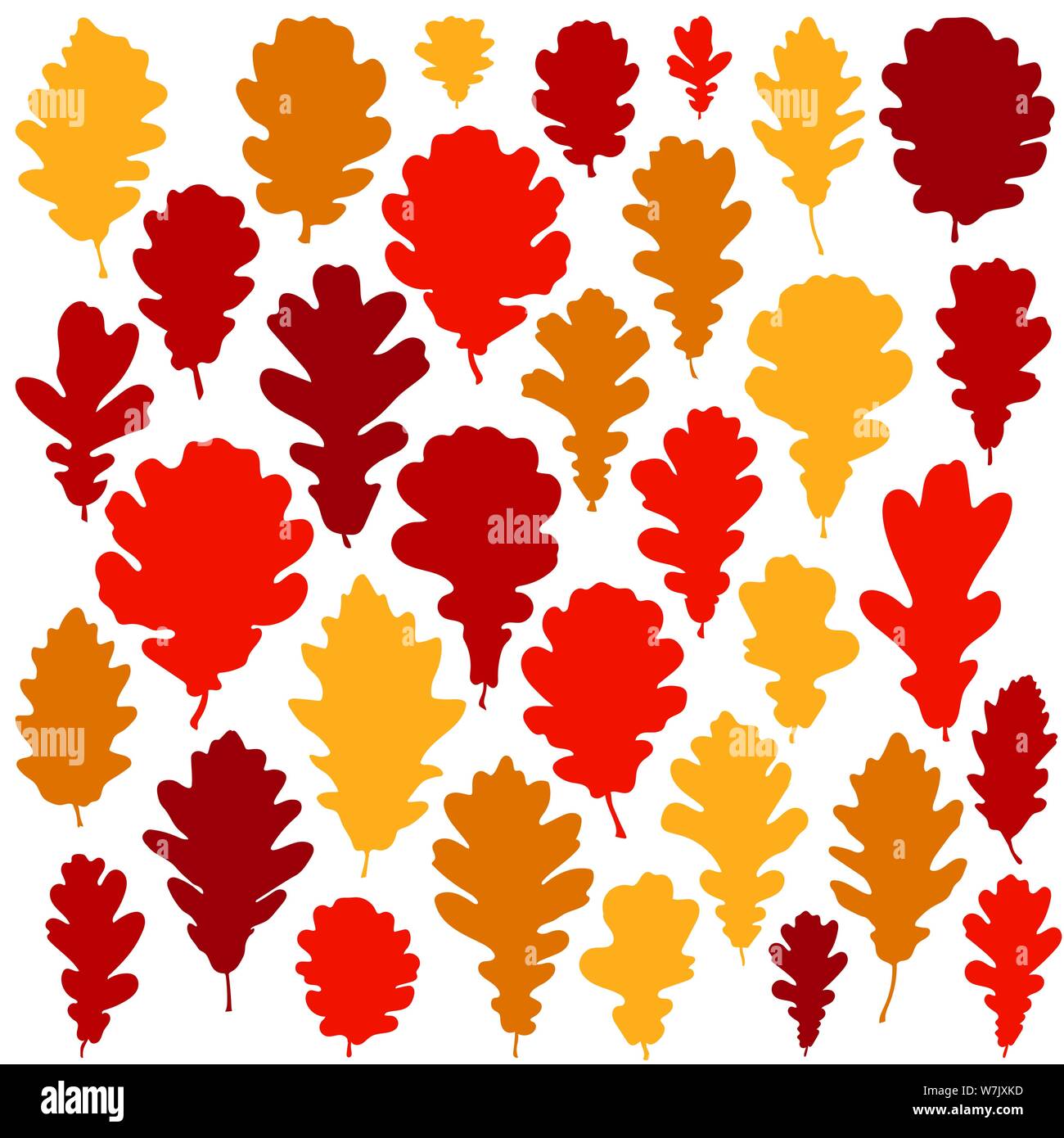 Colorful autumn oak leaves set on white background Stock Vector Image ...