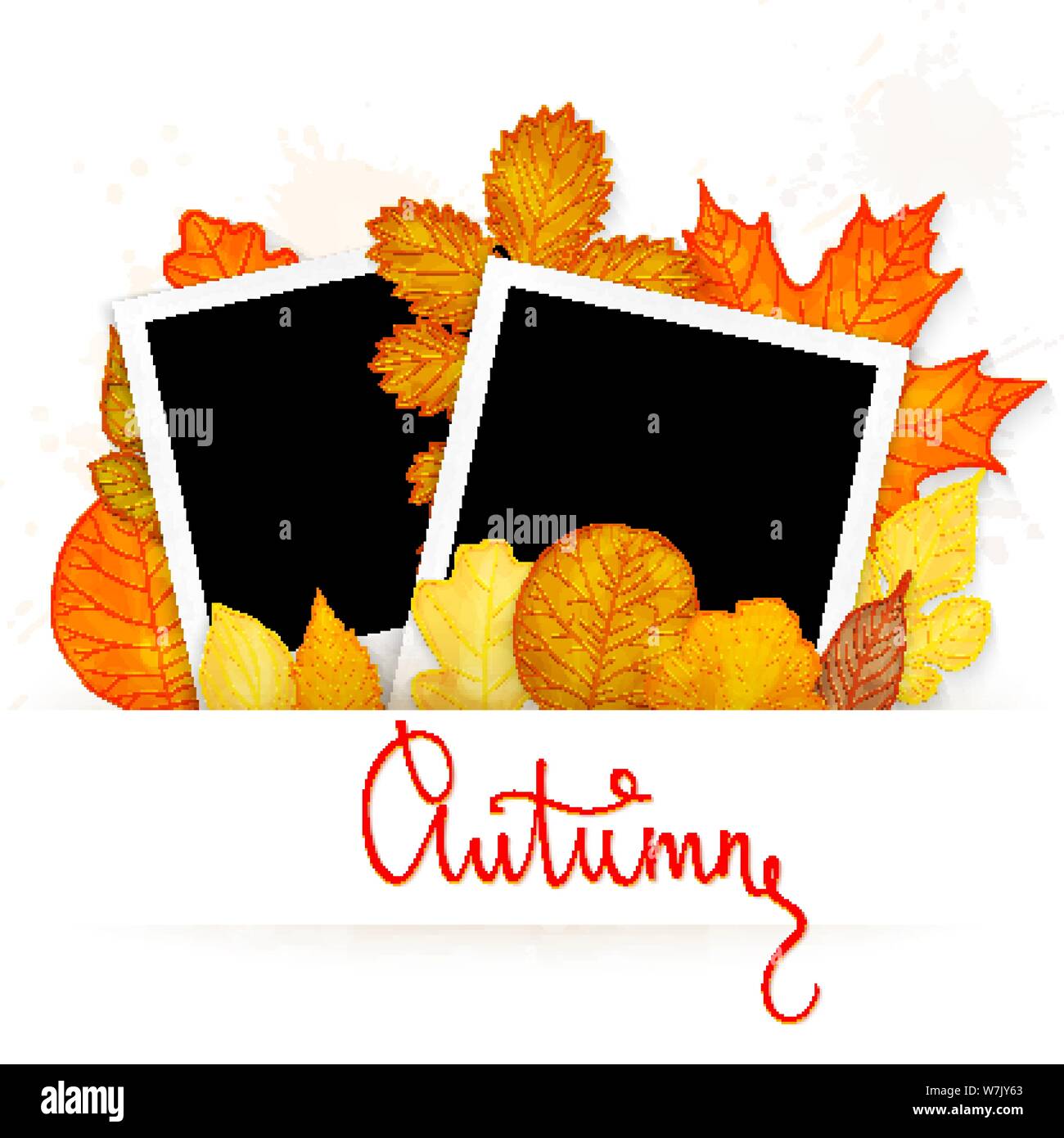 Photo frames with colorful autumn leaves vector Stock Vector Image ...
