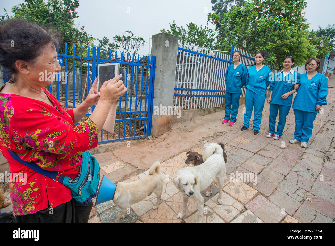 70-year-old Chinese woman Chen Yunlian takes photos of her employees at ...