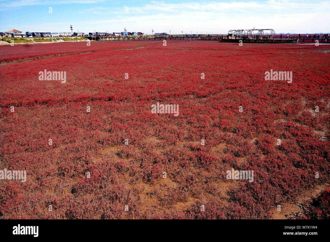 Aerial view of the colorful Liaohekou Honghaitan National Marine Park ...