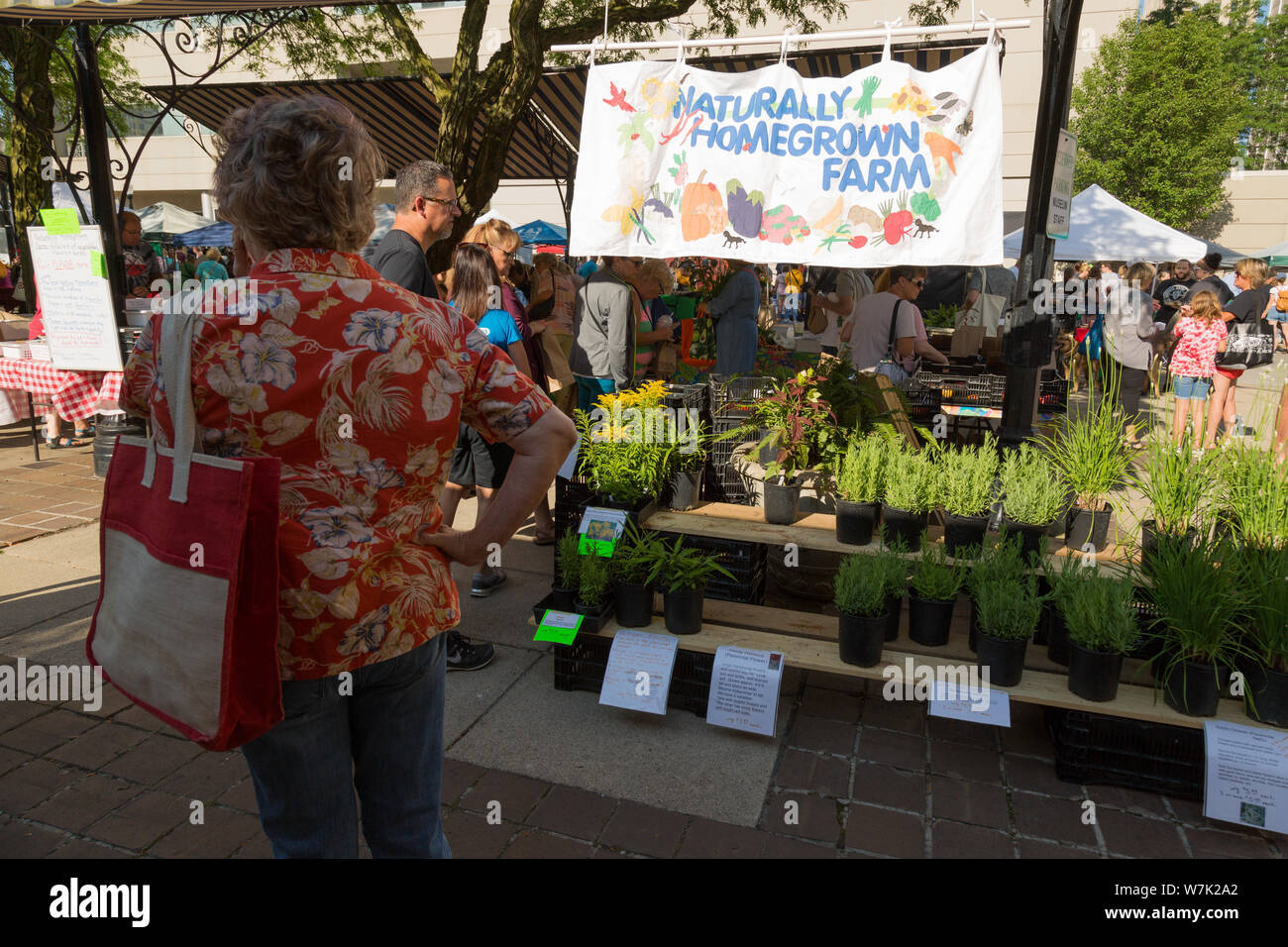 Shoppers peruse products from the Naturally Homegrown Farm on display ...