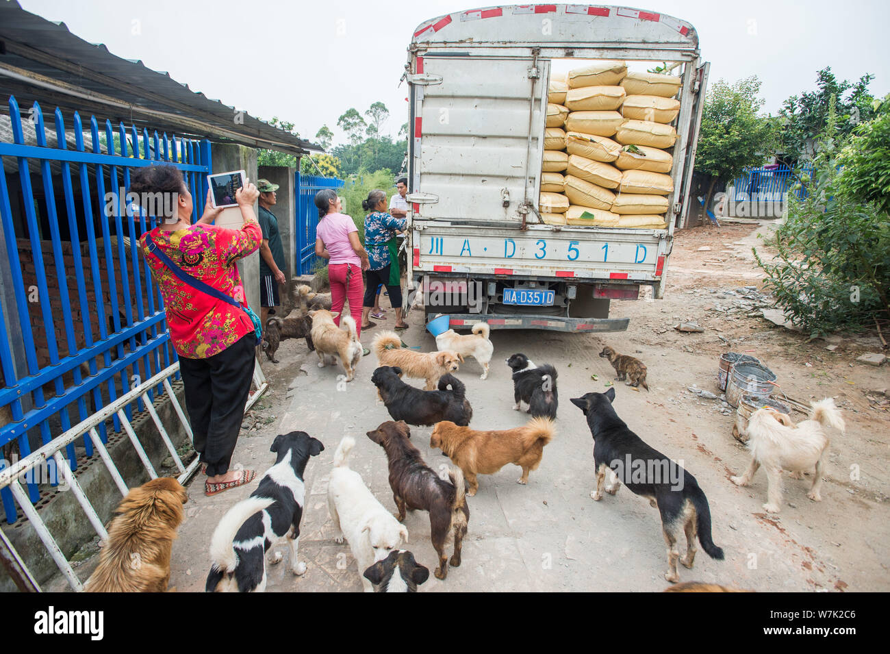 70-year-old Chinese woman Chen Yunlian takes photos of a truck carrying ...
