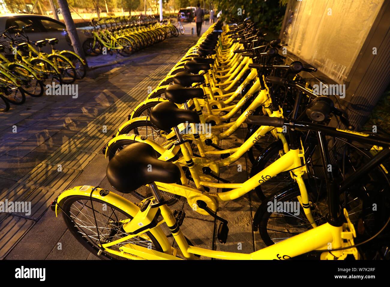 Bicycles of Chinese bike-sharing service ofo are lined up on a street ...