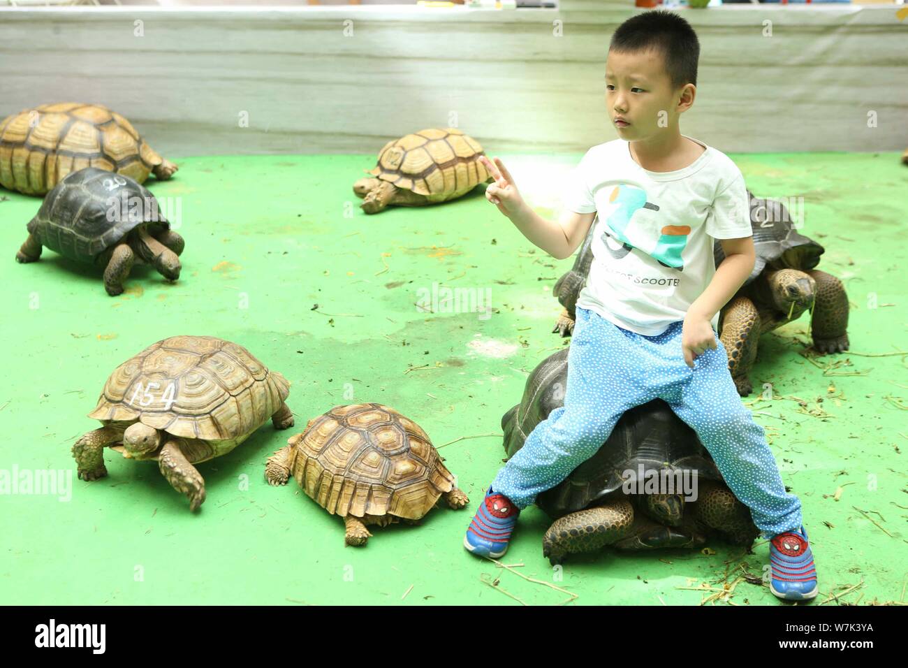 A child sits on a tortoise and poses for photos during the 12th ...