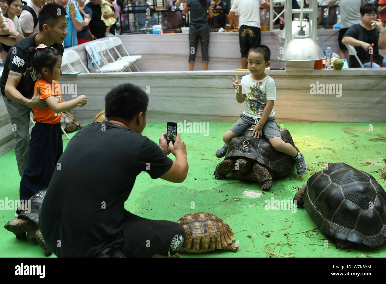 A child sits on a tortoise and poses for photos during the 12th ...