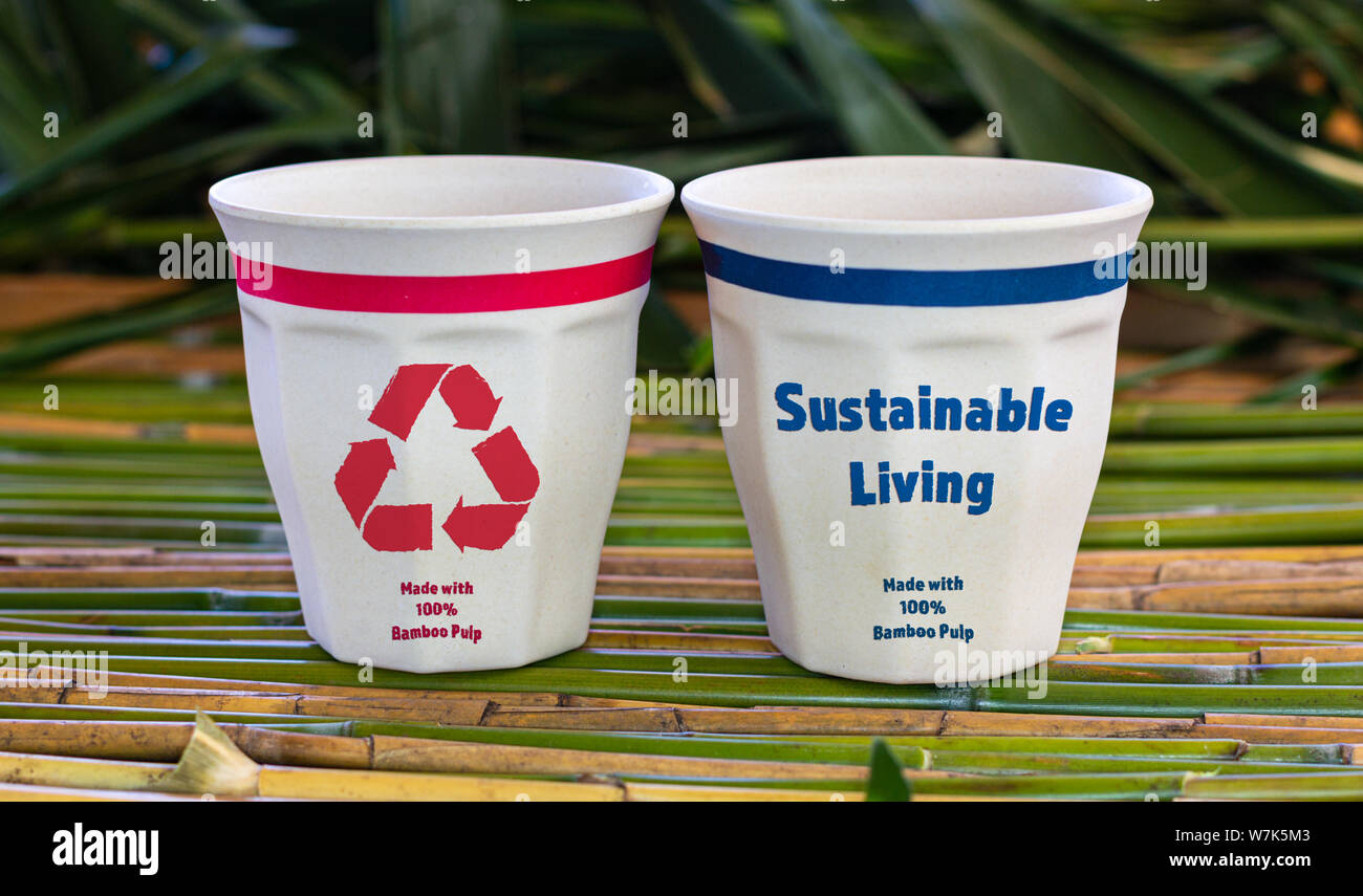 two eco reusable cups made from 100% recycled bamboo pulp on bamboo ...