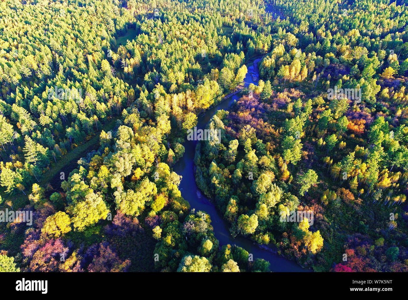 A bird's eye view shows scenery of Greater Khingan Range, also known as Daxing'anling Prefecture ...