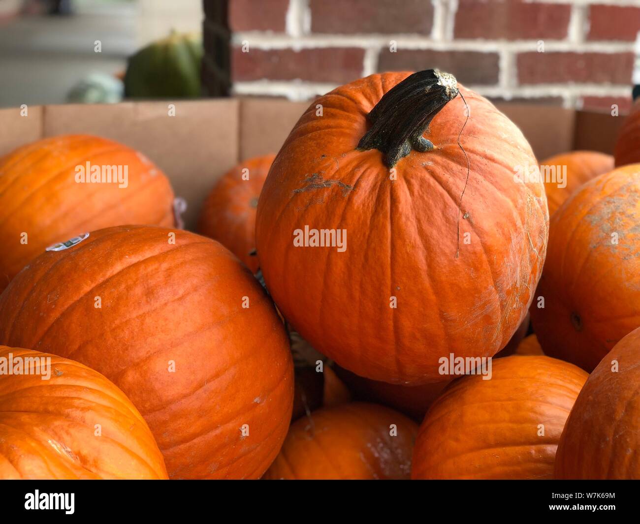 Giant pumpkin close up hi-res stock photography and images - Alamy