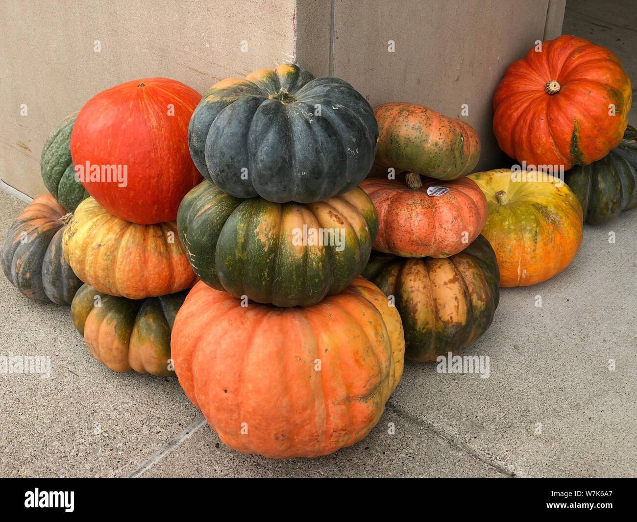 Pile of pumpkins hi-res stock photography and images - Alamy