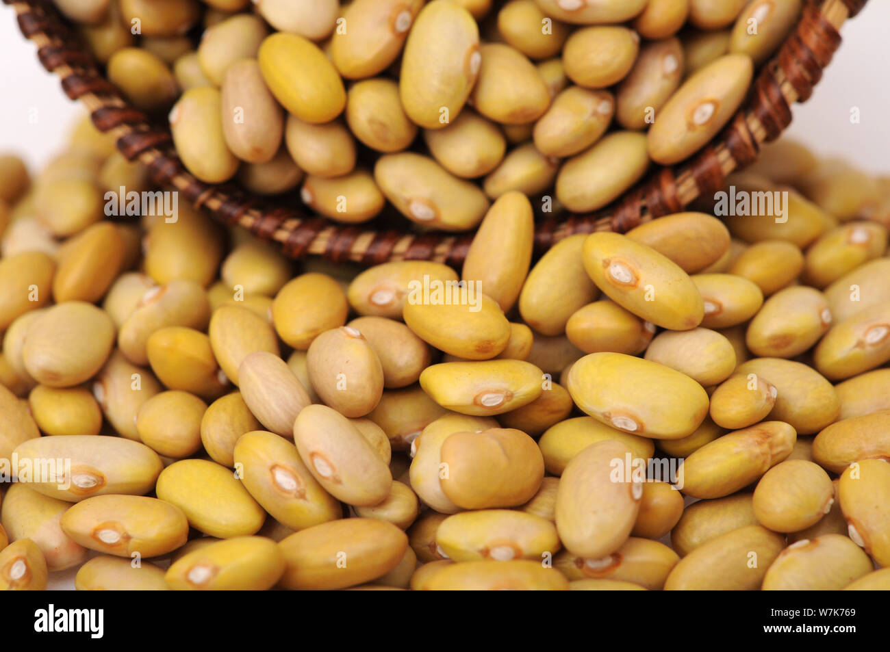 a group of perruano bean on white background Stock Photo - Alamy