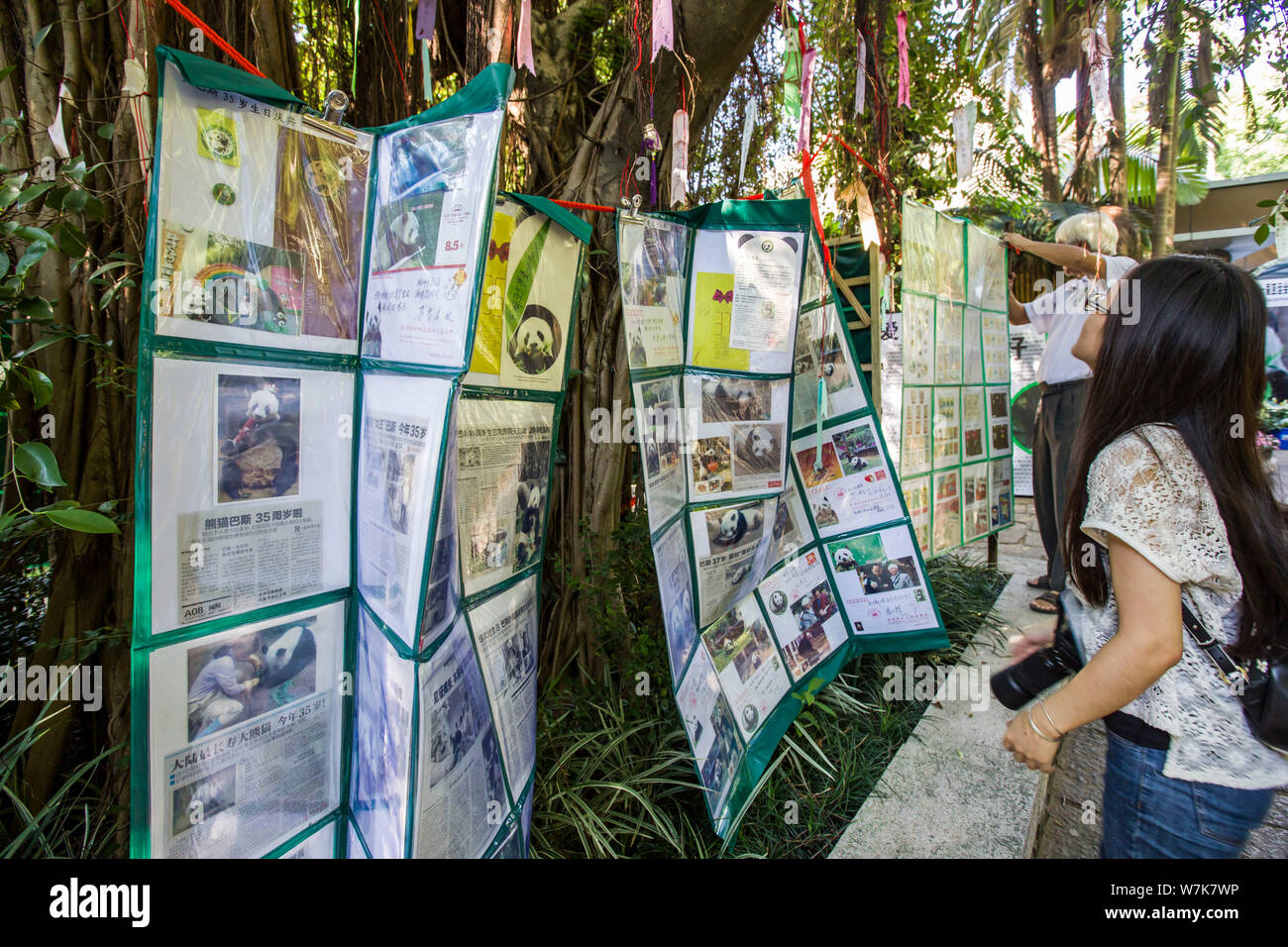 People attend a memorial service for Basi, the world's oldest giant ...