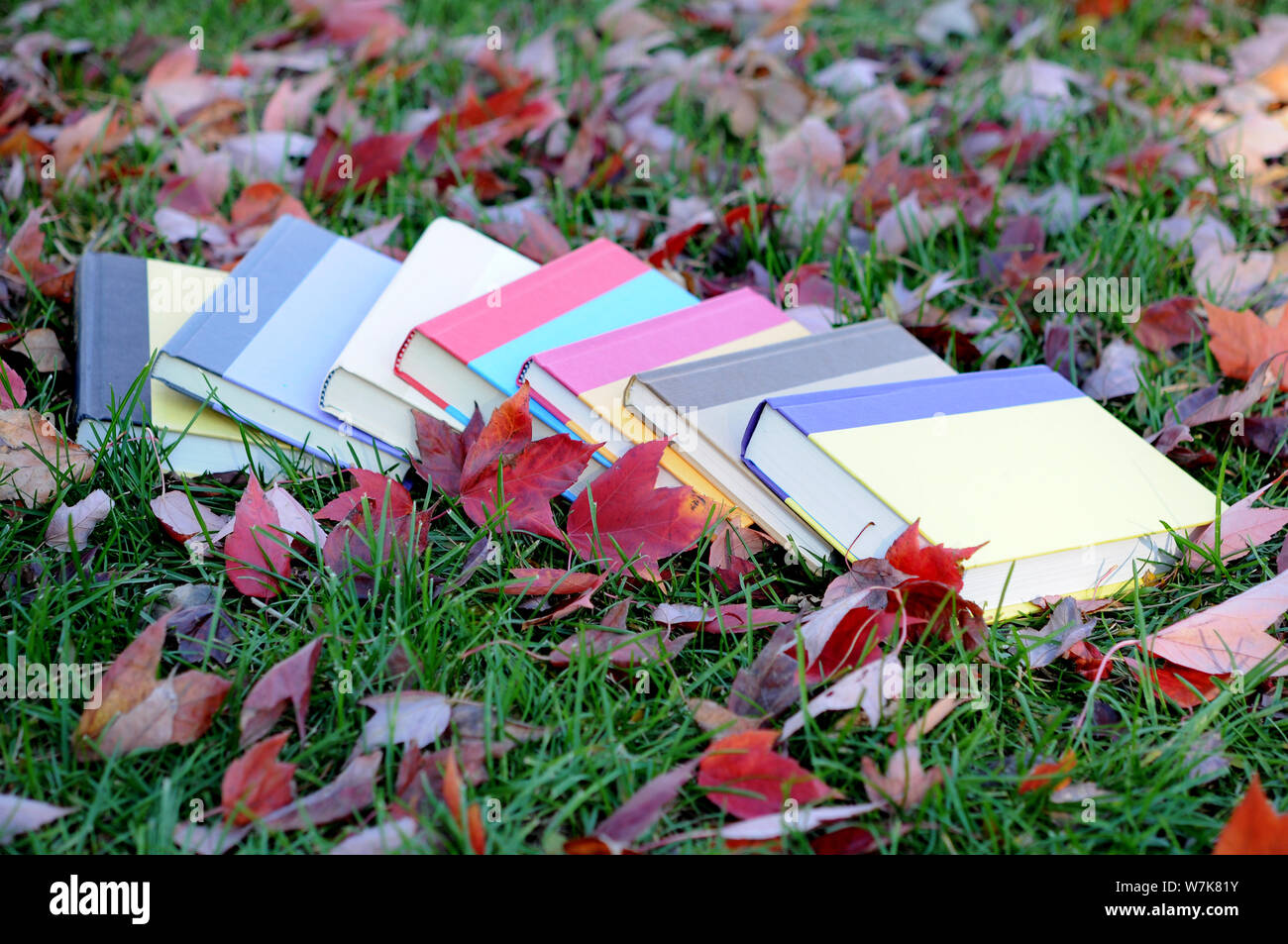 forgotten colorful books on full leaves yard in Autumn season Stock ...