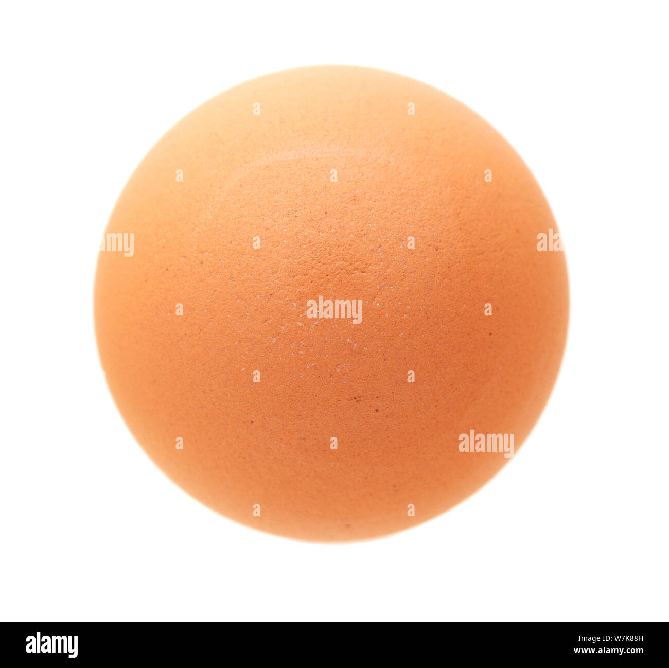 single fresh egg isolated on white background Stock Photo - Alamy