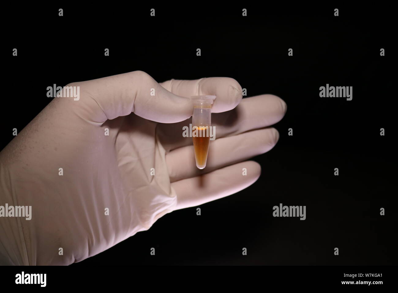 Scientist holding vial with medical sample in laboratory Stock Photo ...