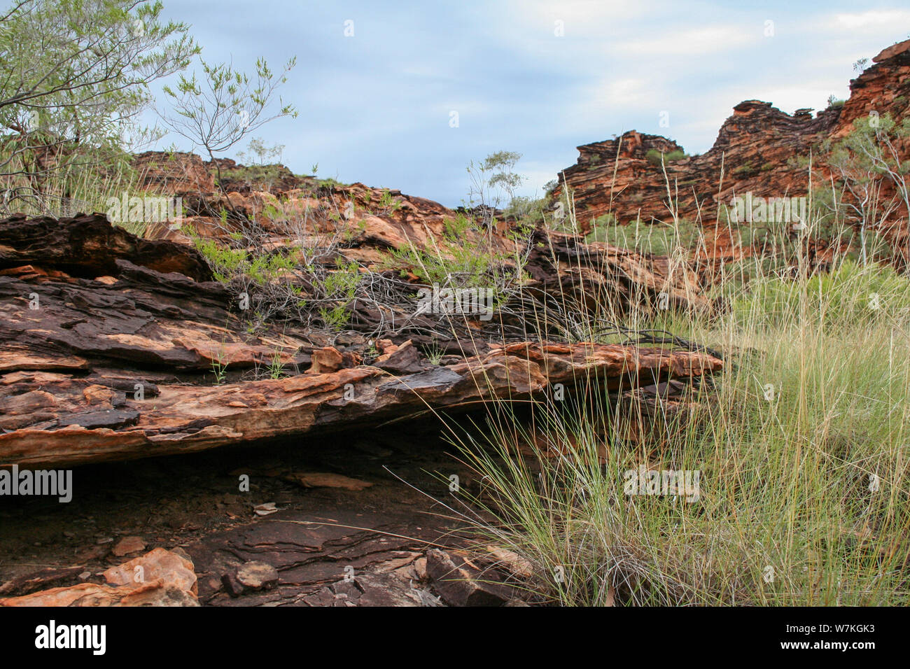 Red rocks in Australian outback Stock Photo - Alamy