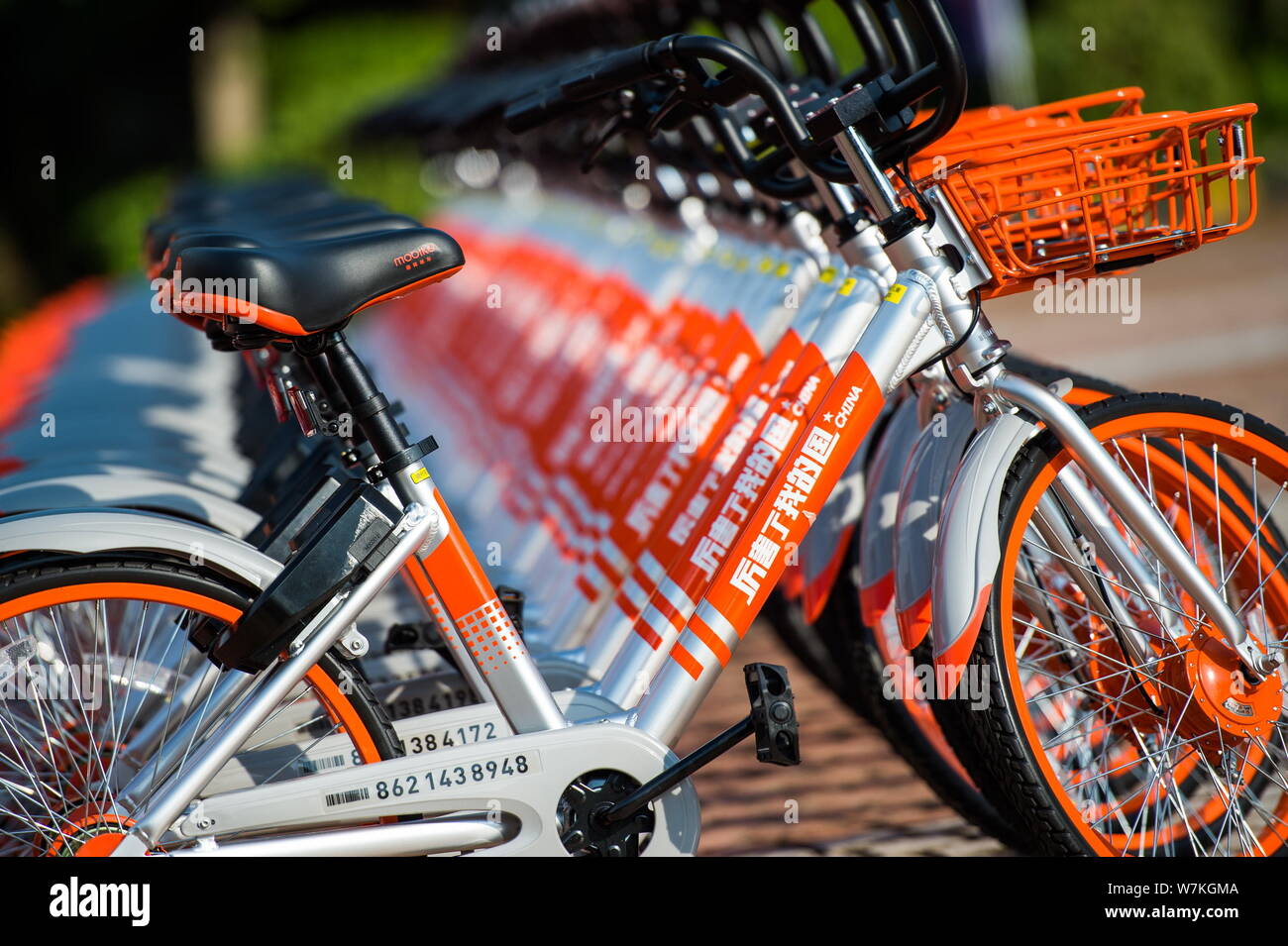 China-themed bicycles with slogans which eulogize the motherland, of ...