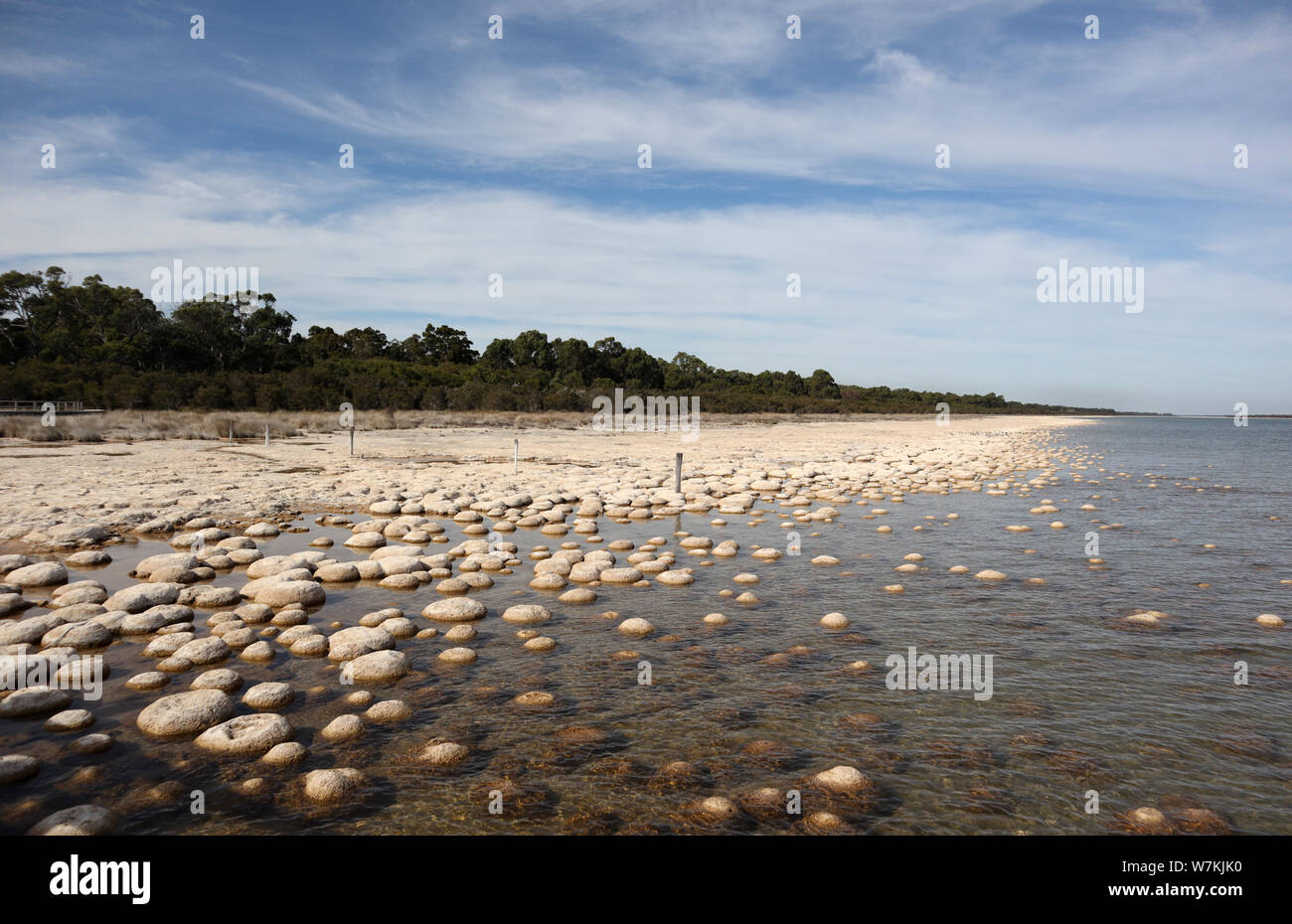 Modern thrombolites hi-res stock photography and images - Alamy