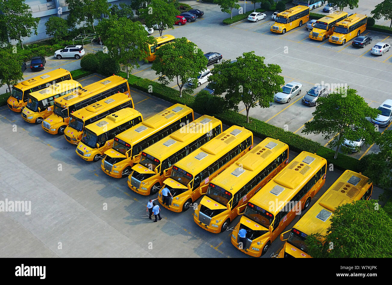 School bus drivers hi-res stock photography and images - Alamy