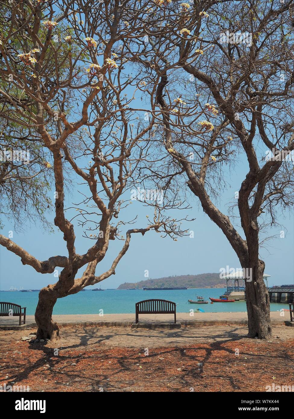 a bench in a park at Koh Sri Chang, Thailand Stock Photo - Alamy