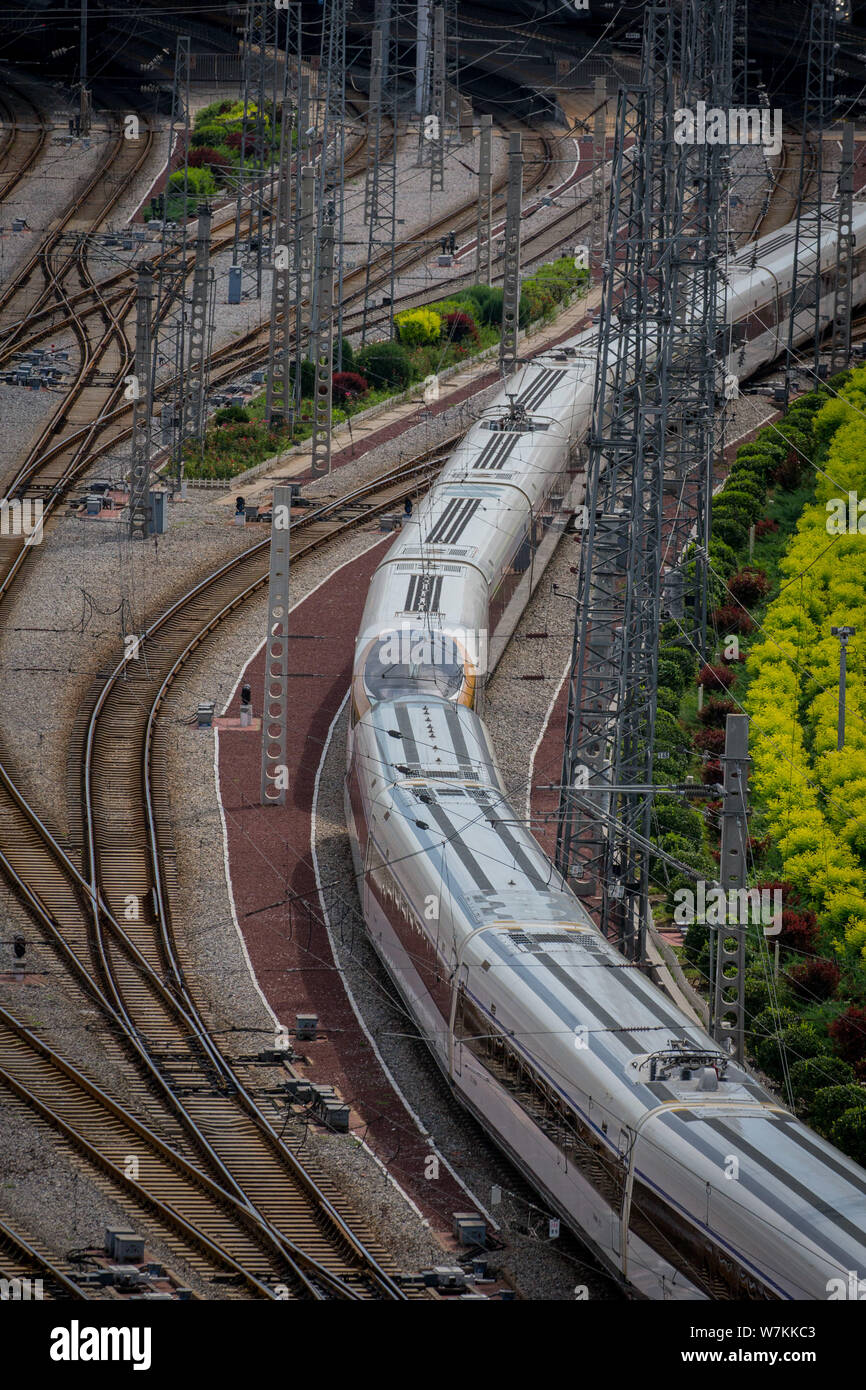 The Blue Dolphin, front, and the Golden Phoenix trainsets of "Fuxing ...