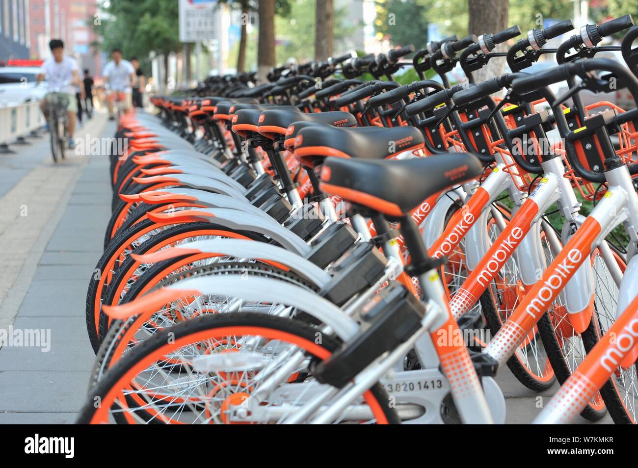Bicycles of Chinese bike-sharing service Mobike are lined up on a ...