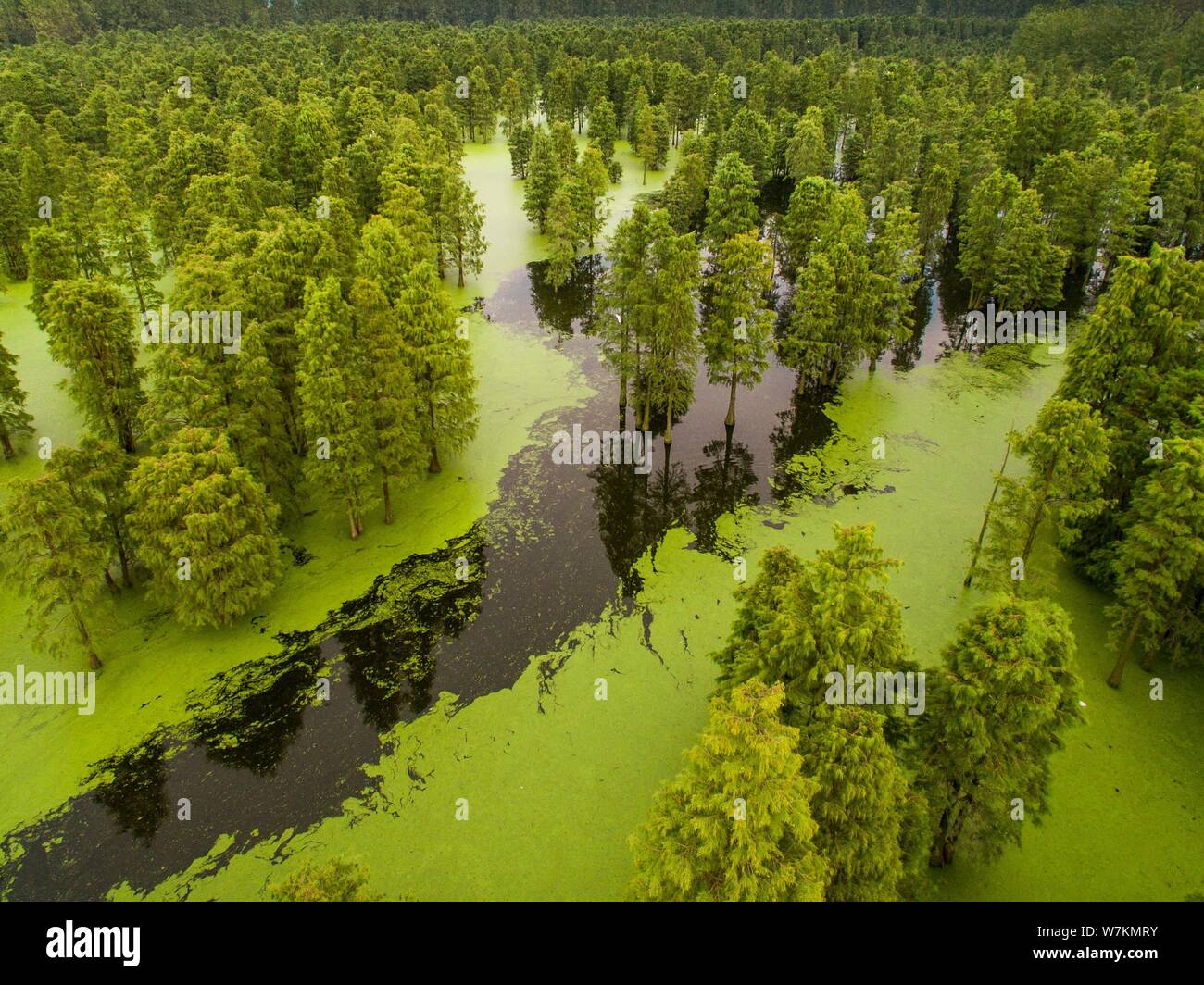 Chuzhou High Resolution Stock Photography and Images - Alamy