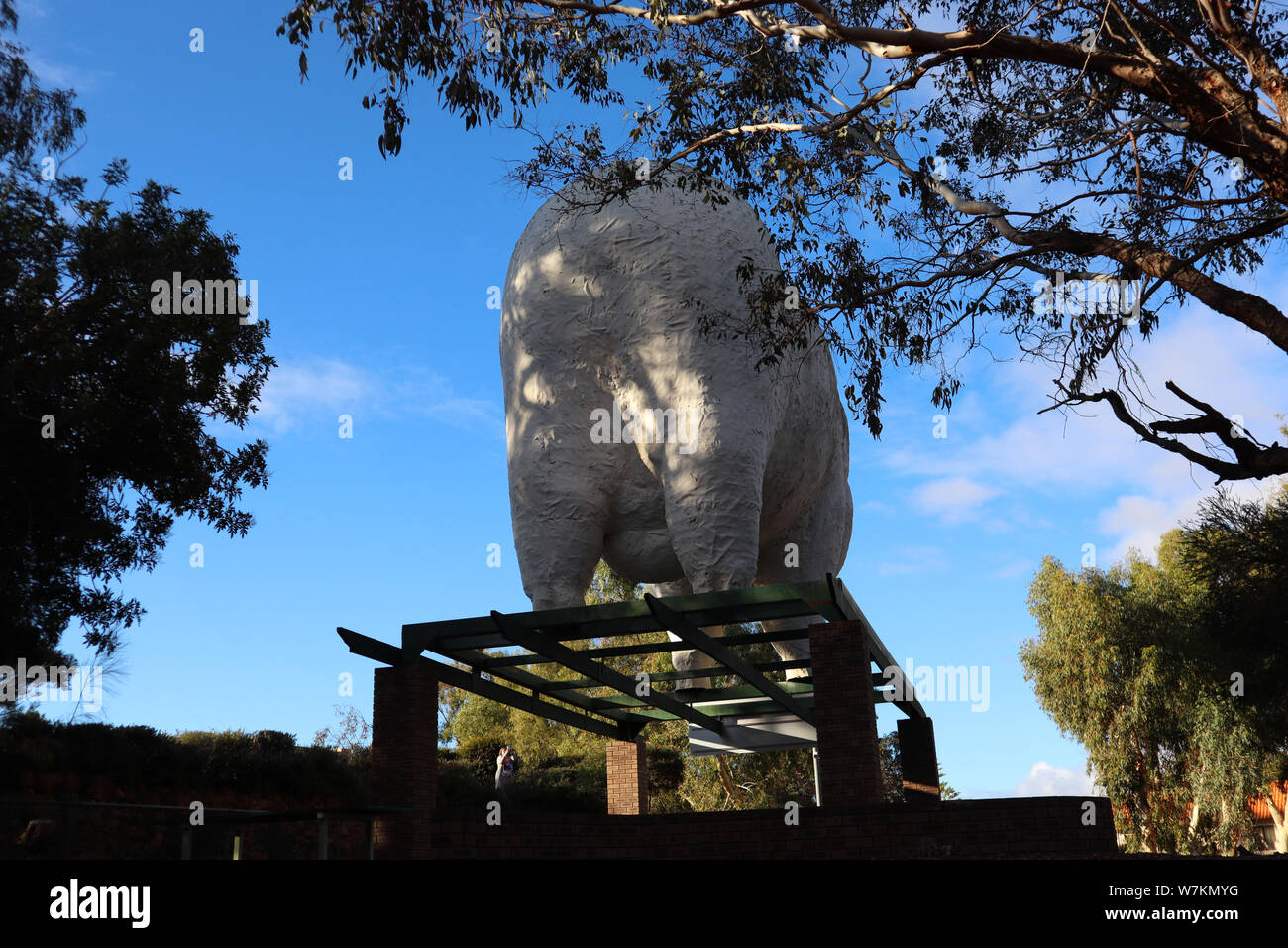 The big ram wa hi-res stock photography and images - Alamy