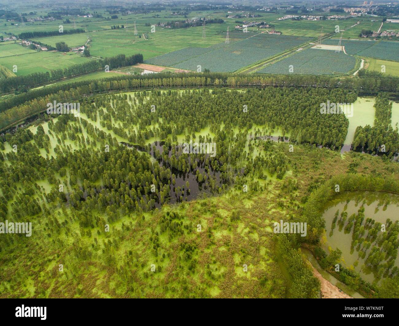 Aerial view of the Chishanhu Provincial Wetland Park in Chuzhou city ...