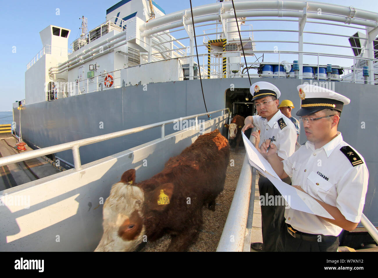 Chinese port customs check hi-res stock photography and images - Alamy
