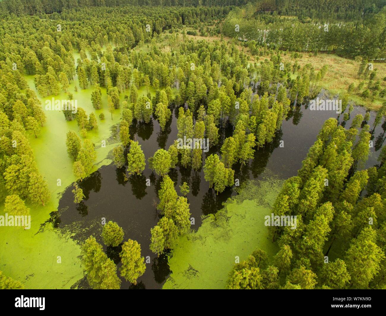 Aerial view of the Chishanhu Provincial Wetland Park in Chuzhou city ...