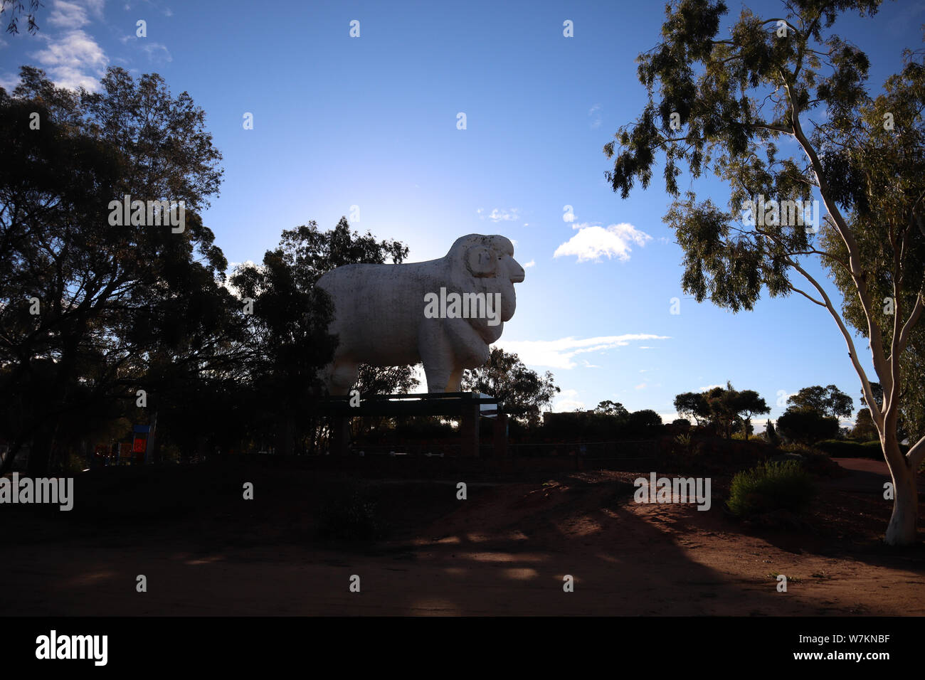 The Big Ram "Baart" at Wagin, WA Stock Photo - Alamy