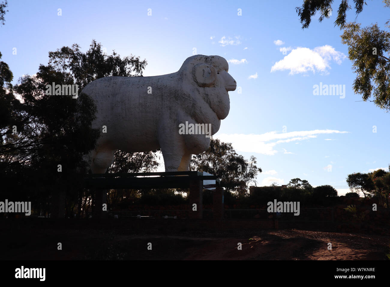 The big ram wa hi-res stock photography and images - Alamy