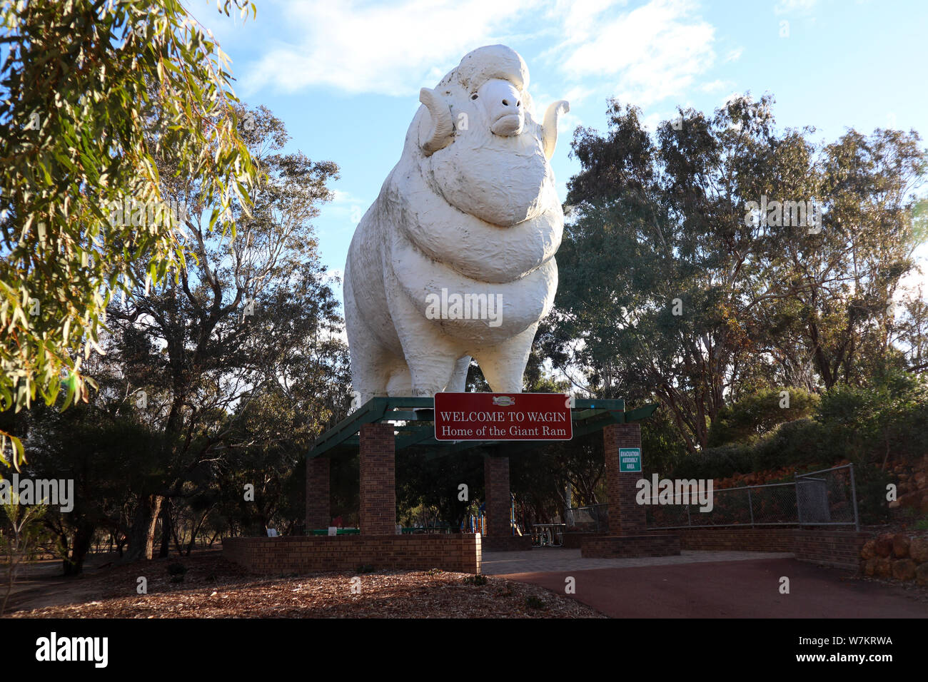 The Big Ram "Baart" at Wagin, WA Stock Photo - Alamy