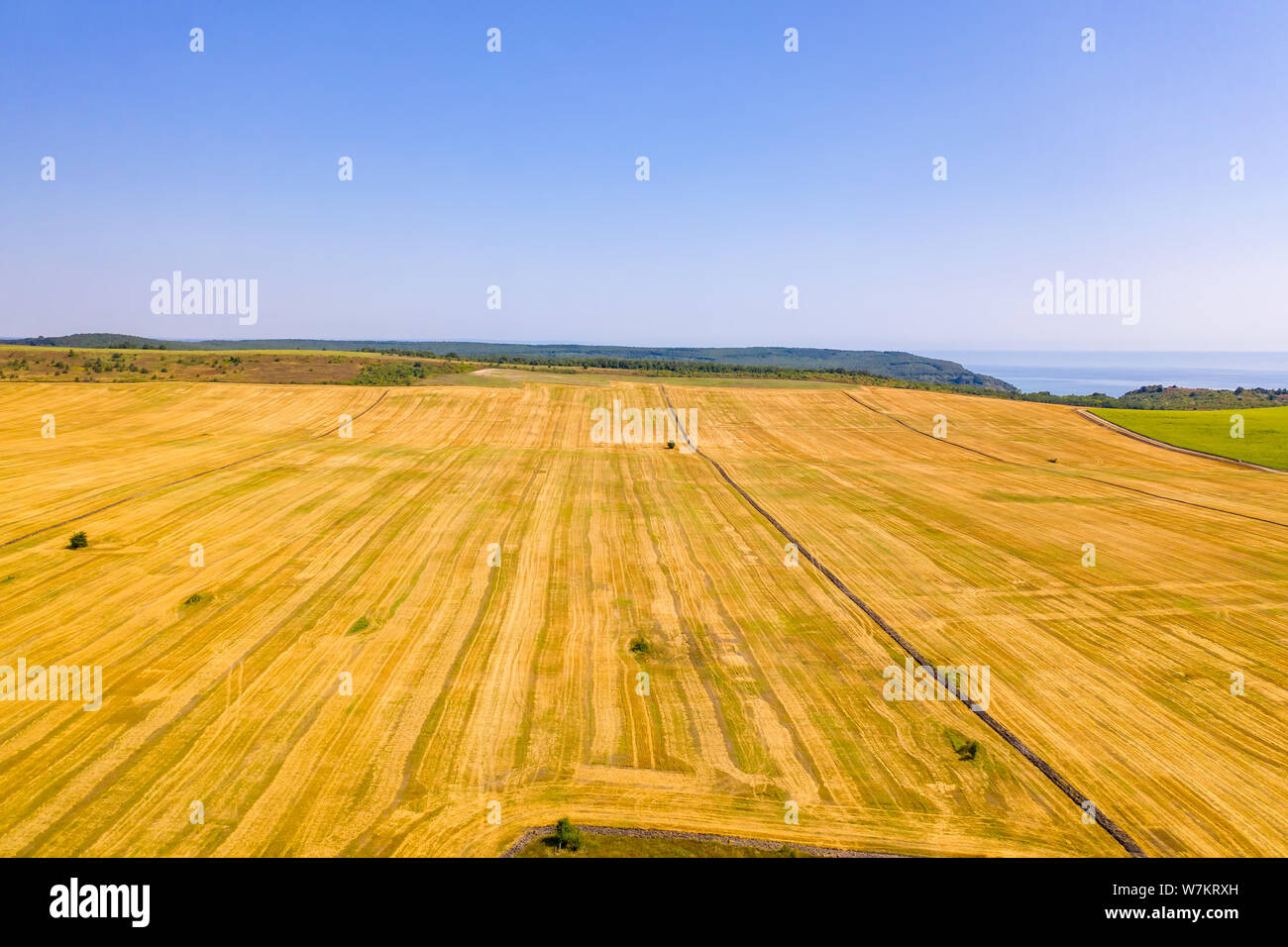 Aerial view field after harvesting hi-res stock photography and images ...