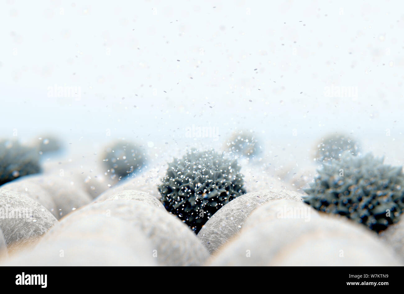 A microscopic close up view of a simple woven textile and a visible ...