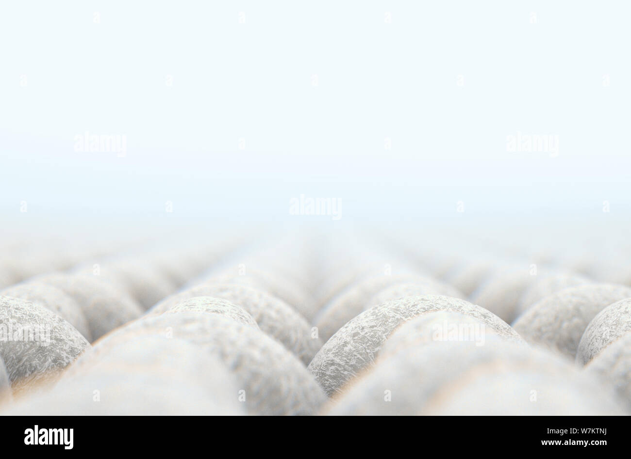 A microscopic close up view of a simple woven textile on a white ...
