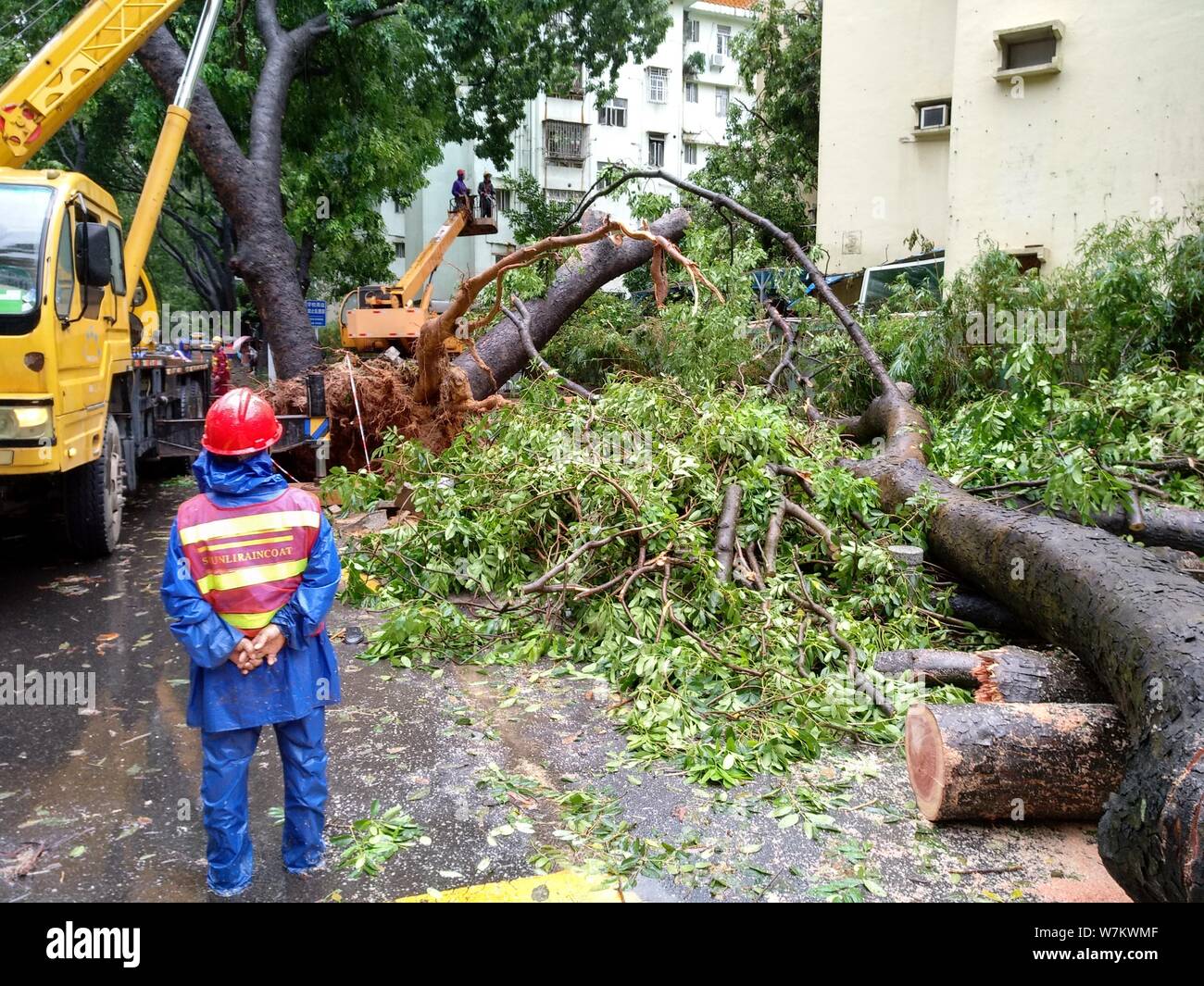 Typhoon pakhar hi-res stock photography and images - Alamy
