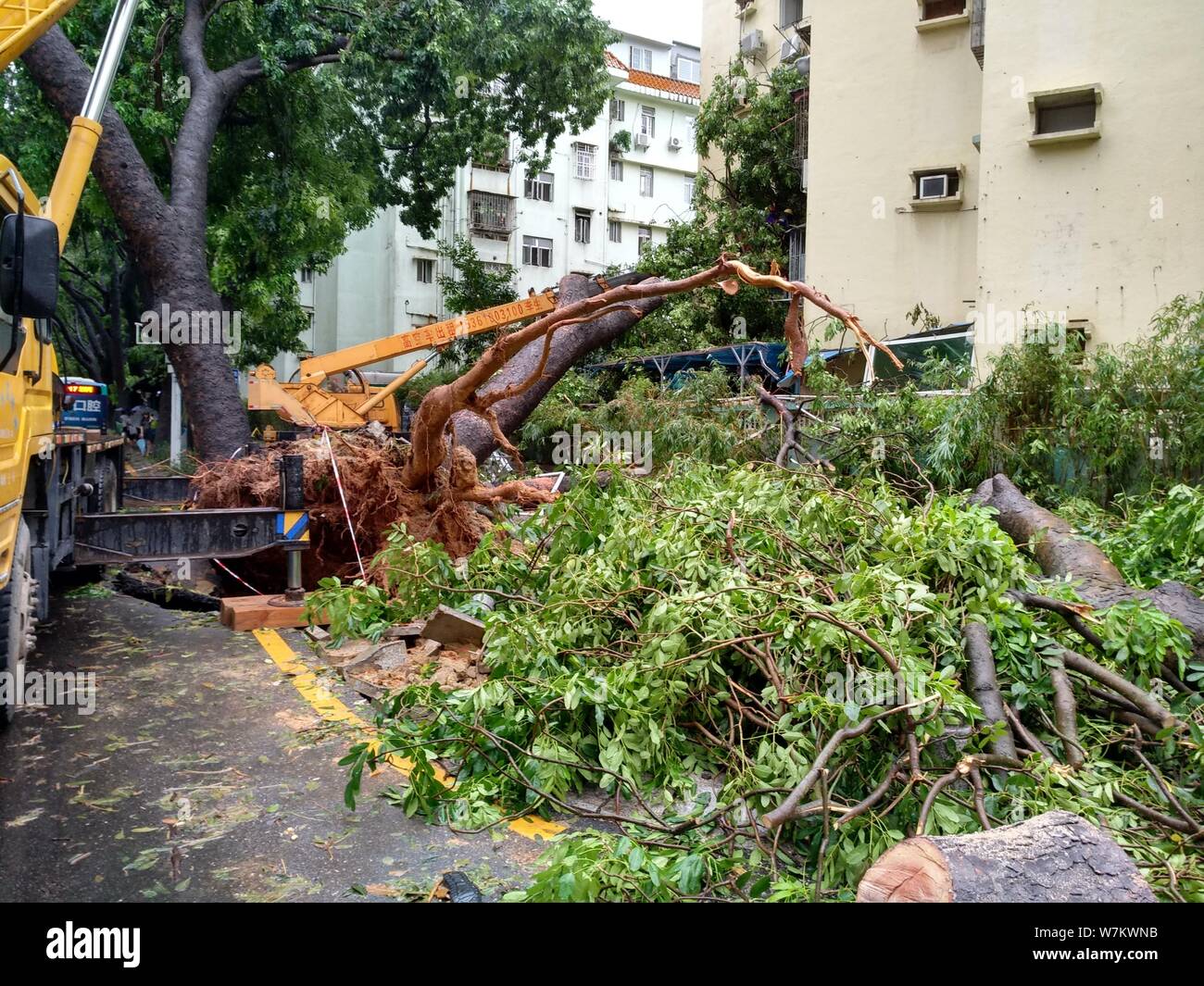 Typhoon pakhar hi-res stock photography and images - Alamy